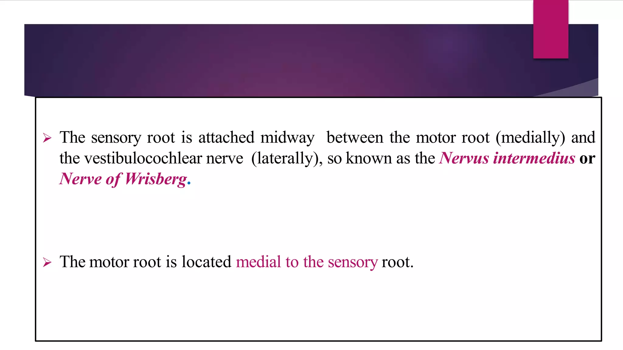FACIAL NERVE.pptx
