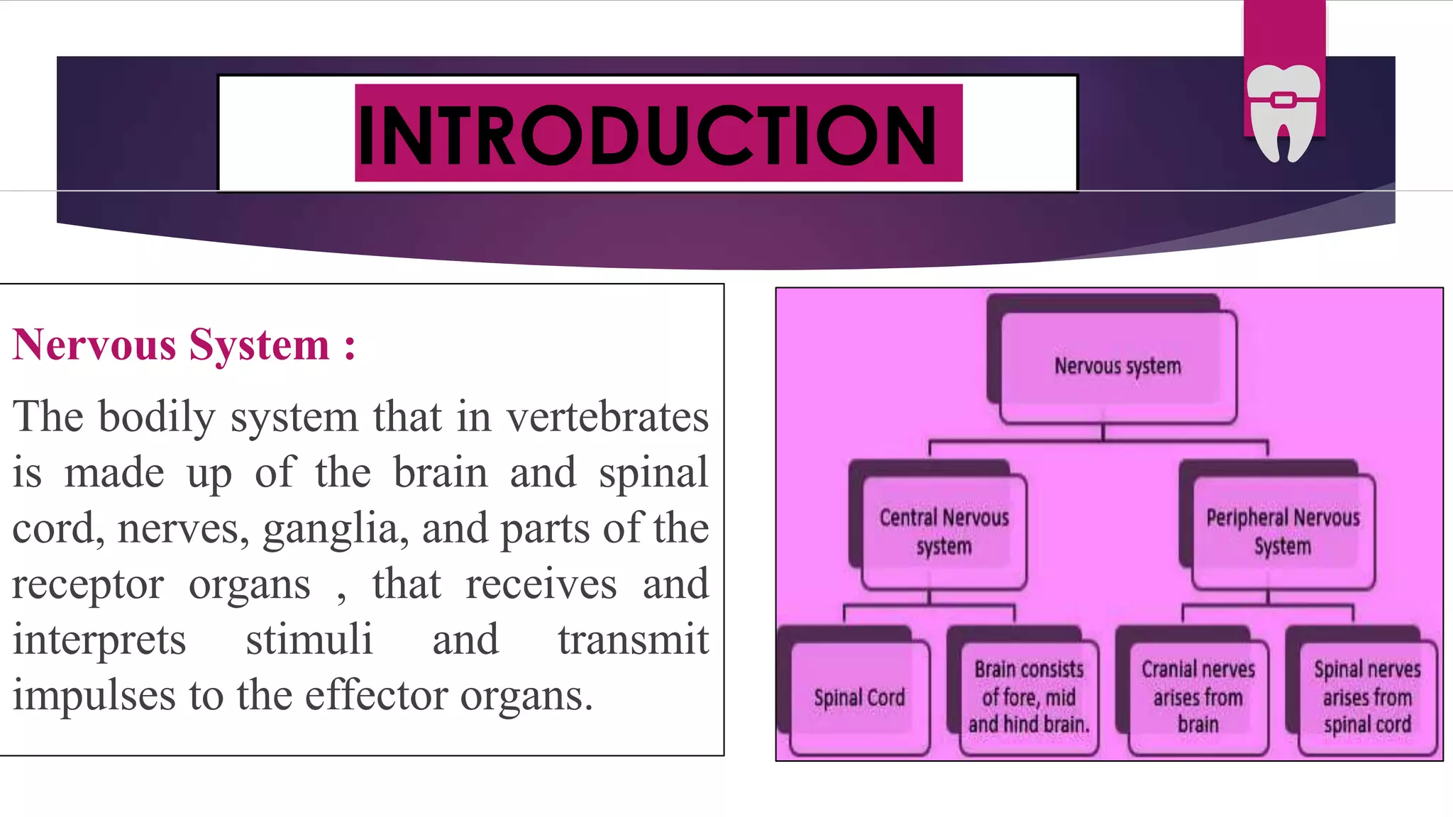 FACIAL NERVE.pptx