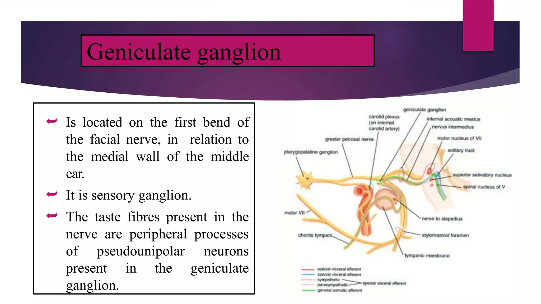 FACIAL NERVE.pptx