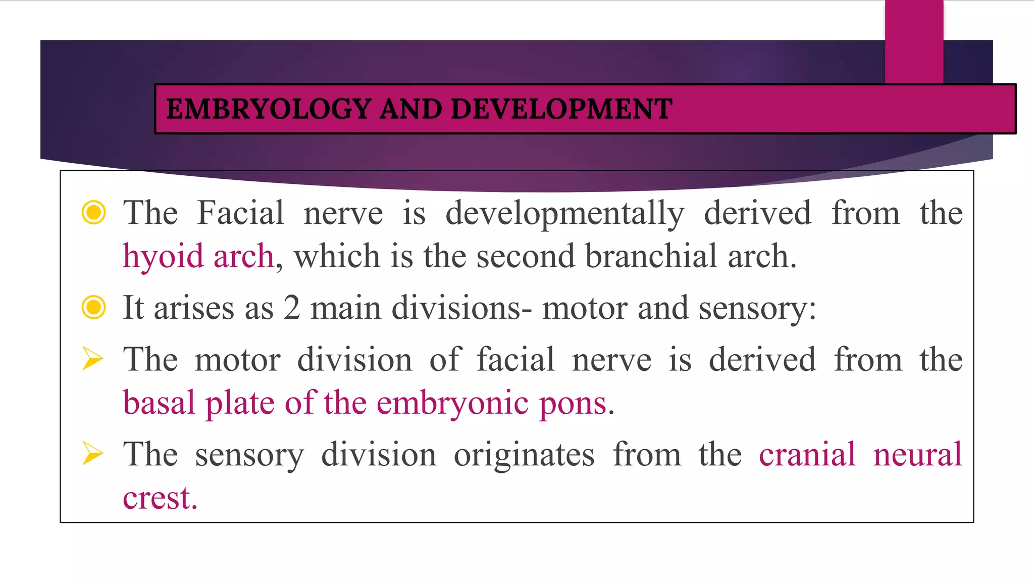 FACIAL NERVE.pptx