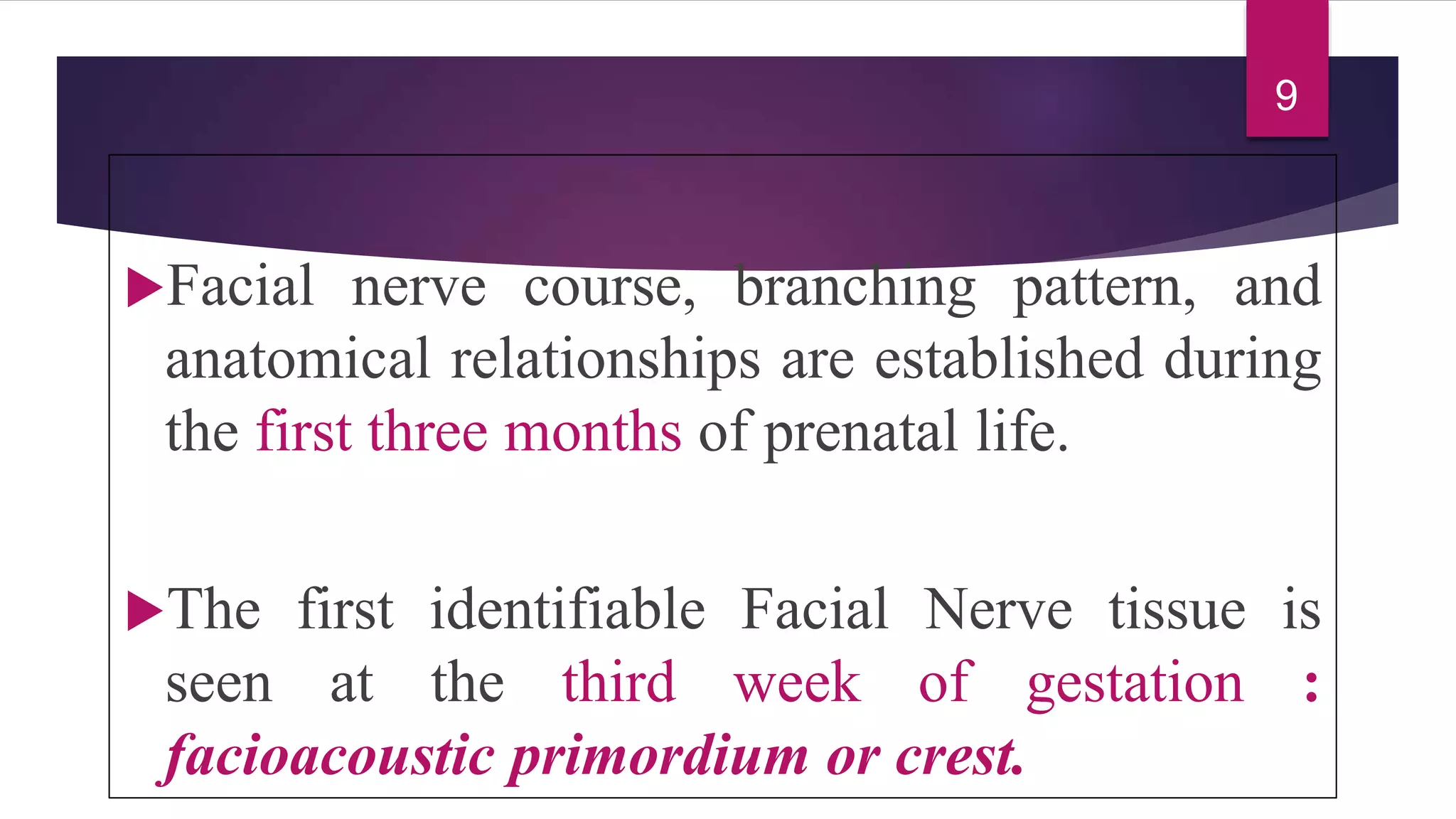 FACIAL NERVE.pptx