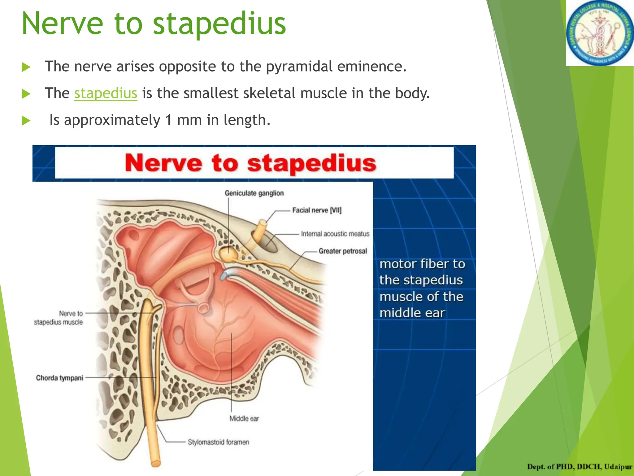 FACIAL NERVE its course and applied anatomy | PPTX