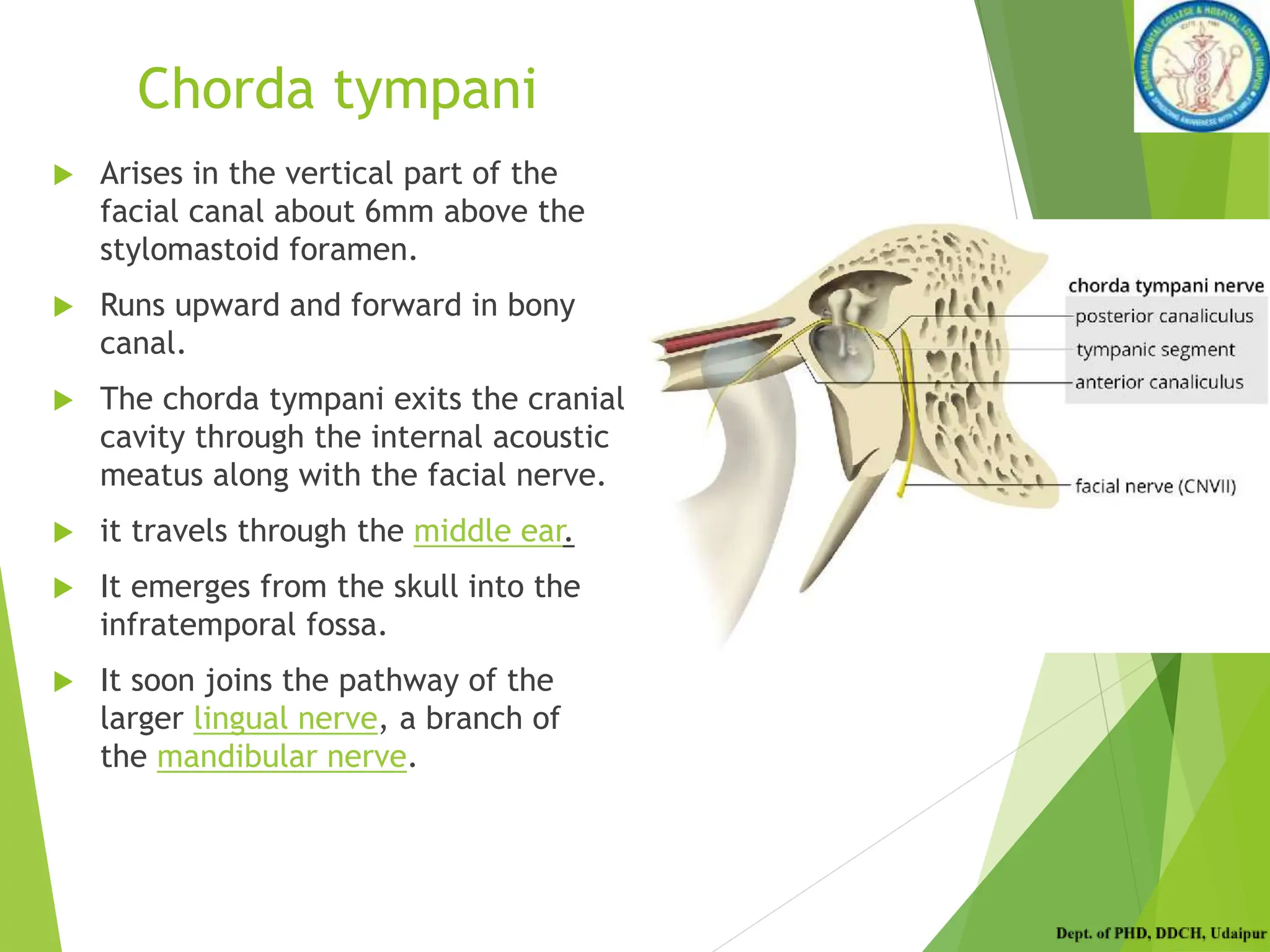 FACIAL NERVE its course and applied anatomy | PPTX