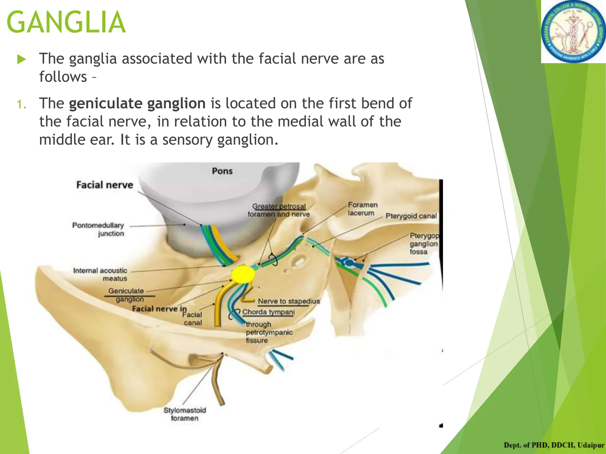 FACIAL NERVE its course and applied anatomy | PPTX