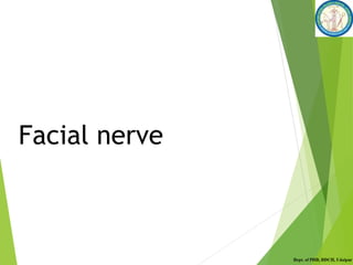 FACIAL NERVE its course and applied anatomy | PPTX