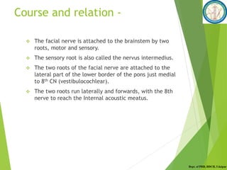 FACIAL NERVE its course and applied anatomy | PPTX