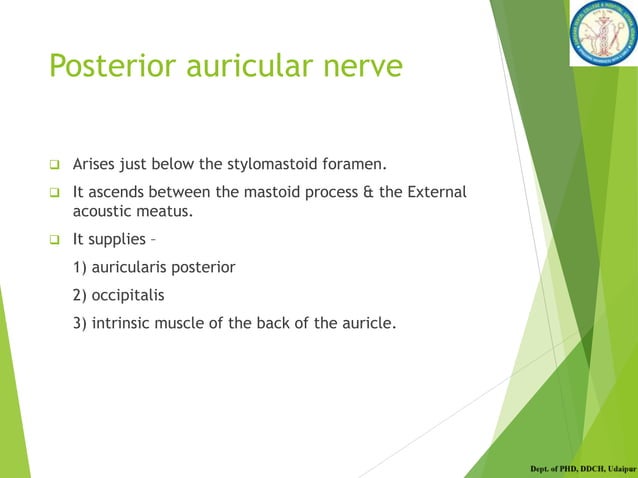 FACIAL NERVE its course and applied anatomy | PPTX | Ear, Nose and ...