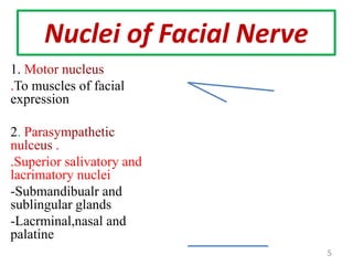 COURSE: ADVANCED ANATOMY II NEUROANATOMY | PPTX