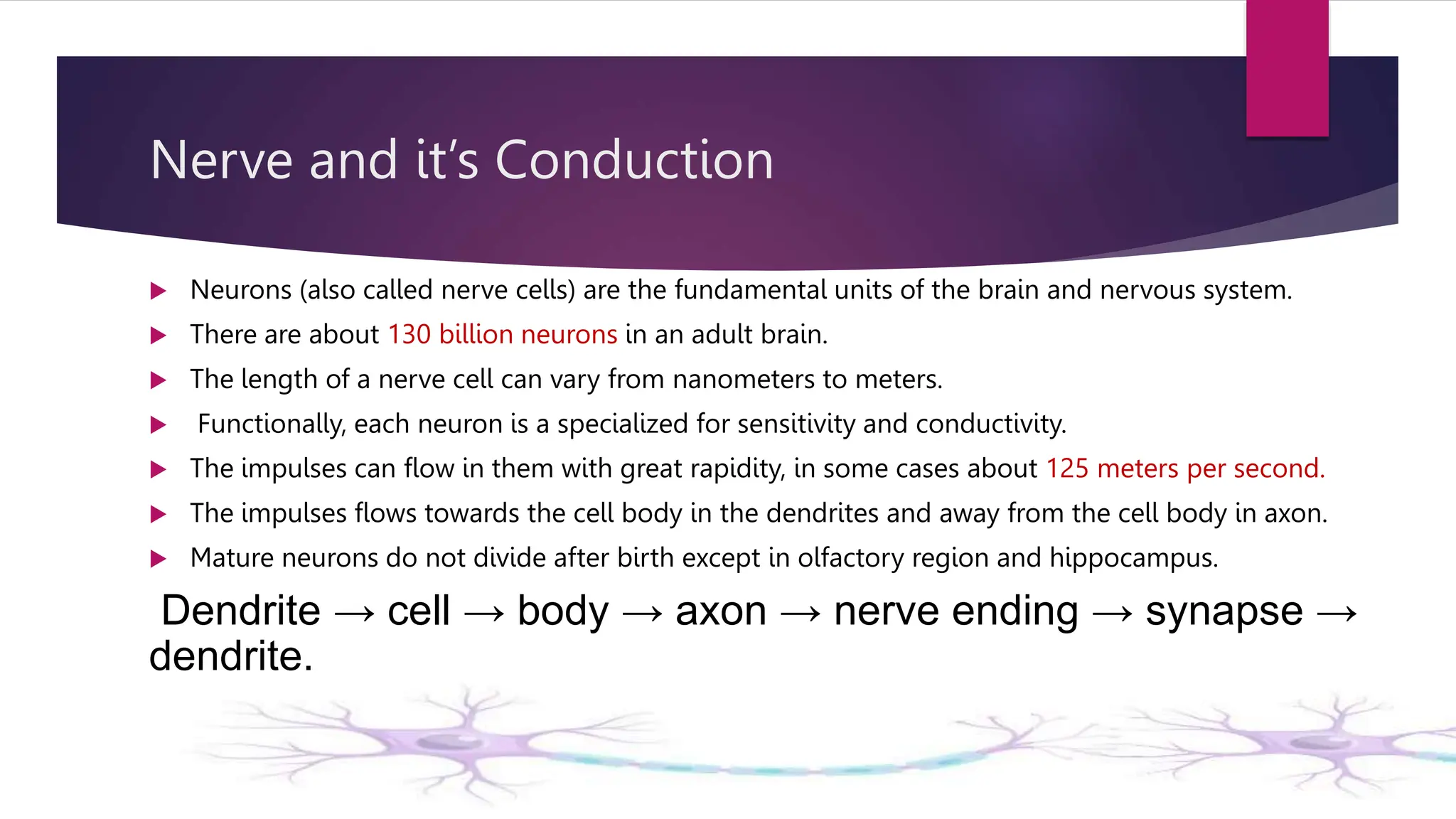 FACIAL NERVE | PPTX