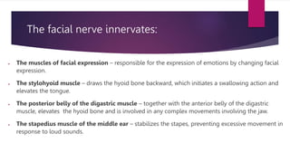 FACIAL NERVE | PPTX