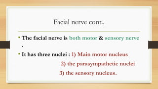 facial nerve Anatomy phydiology and clinical aspects | PPT