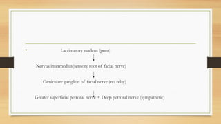 facial nerve Anatomy phydiology and clinical aspects | PPTX
