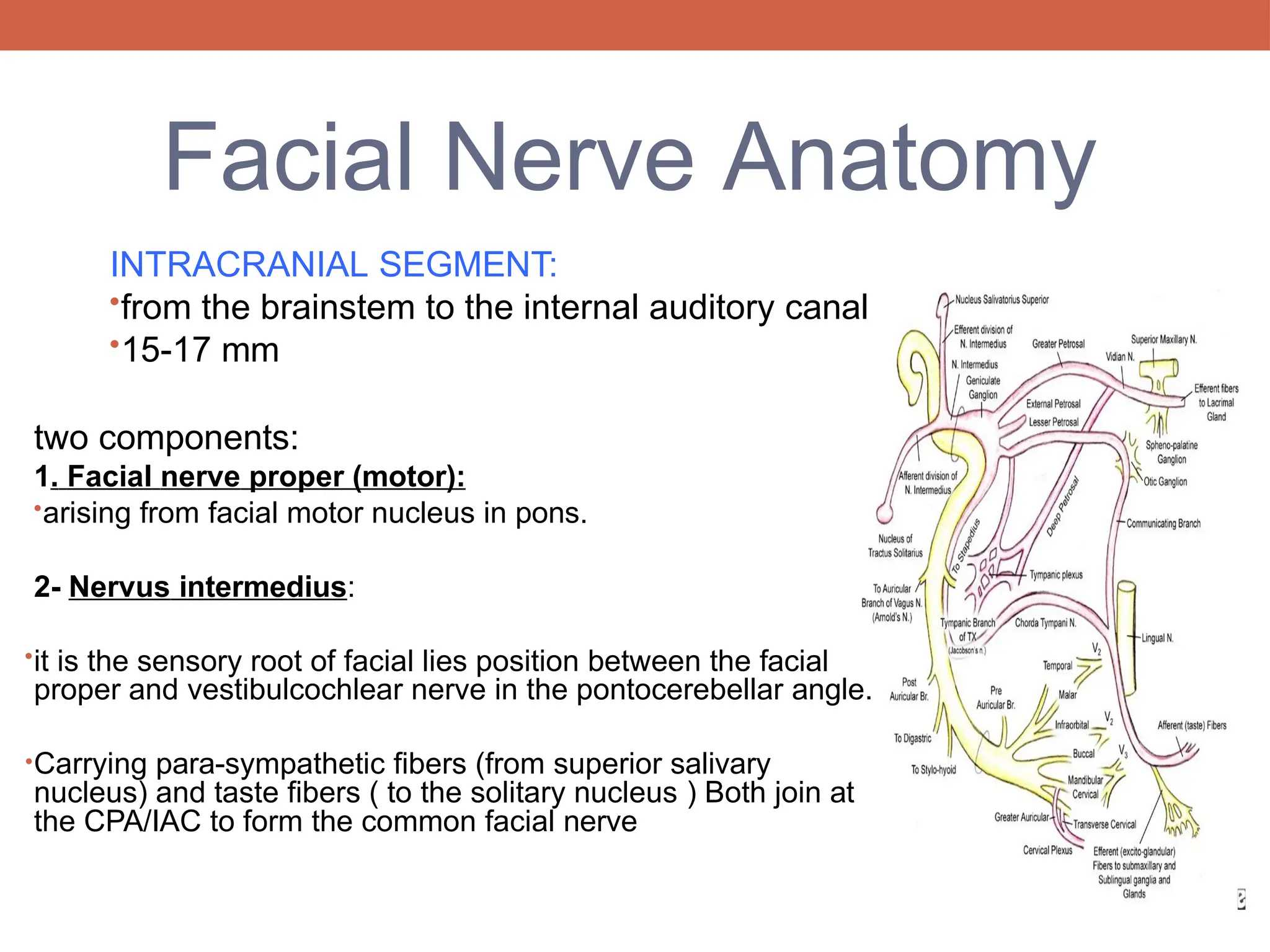 Facial Nerve Injury,Facial Nerve Injury,Facial Nerve Injury | PPTX ...