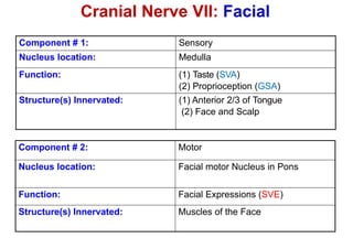 ANATOMICAL DETAILS OF THE Facial nerve.pptx