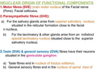 ANATOMICAL DETAILS OF THE Facial nerve.pptx