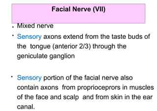 ANATOMICAL DETAILS OF THE Facial nerve.pptx