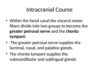 Anatomy of the head and nerves. FACIAL NERVE.pptx