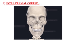FACIAL NERVE ANATOMY AND ITS BRANCHES .pptx