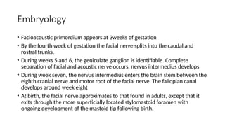 Anatomy and physiology of the facial nerve and its Topodiagnostic tests ...