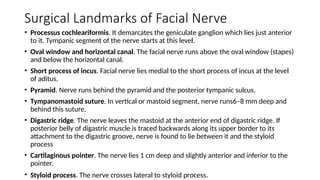 Anatomy and physiology of the facial nerve and its Topodiagnostic tests ...