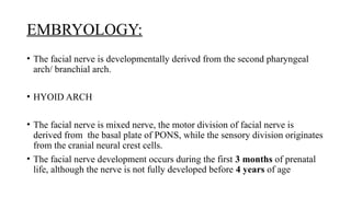 facial nerve .pptx anatomy and segmentso | PPTX