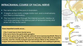 FACIAL NERVE and facial expressions.pptx