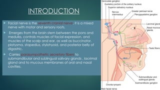 FACIAL NERVE and facial expressions.pptx