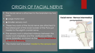 FACIAL NERVE and facial expressions.pptx