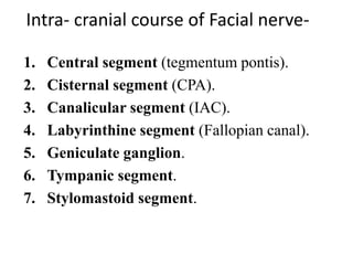 Facial nerve anatomy and important aspects | PPTX