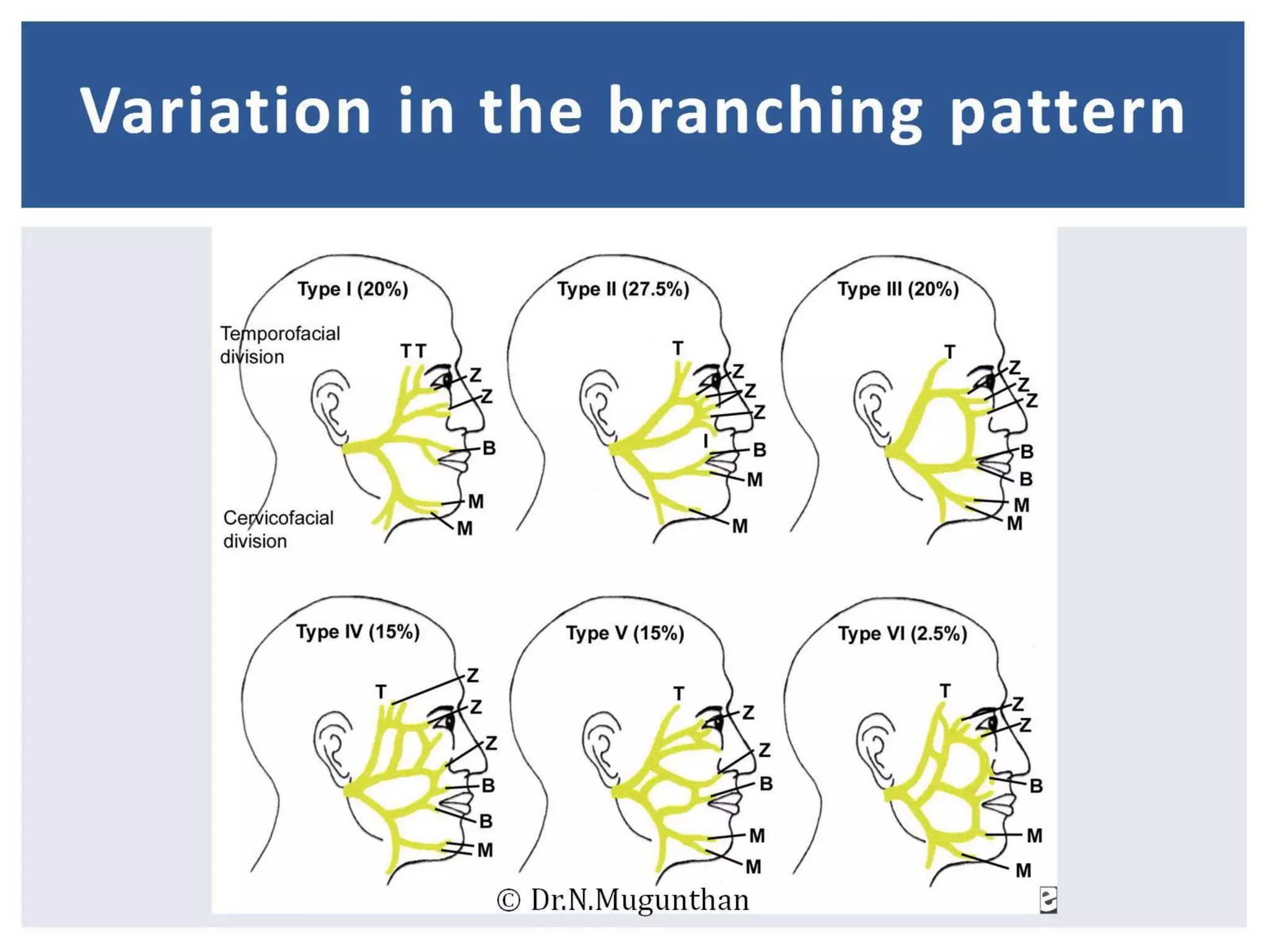 Facial nerve and its applied aspects- pdf lecture notes by Prof.(Dr).N ...