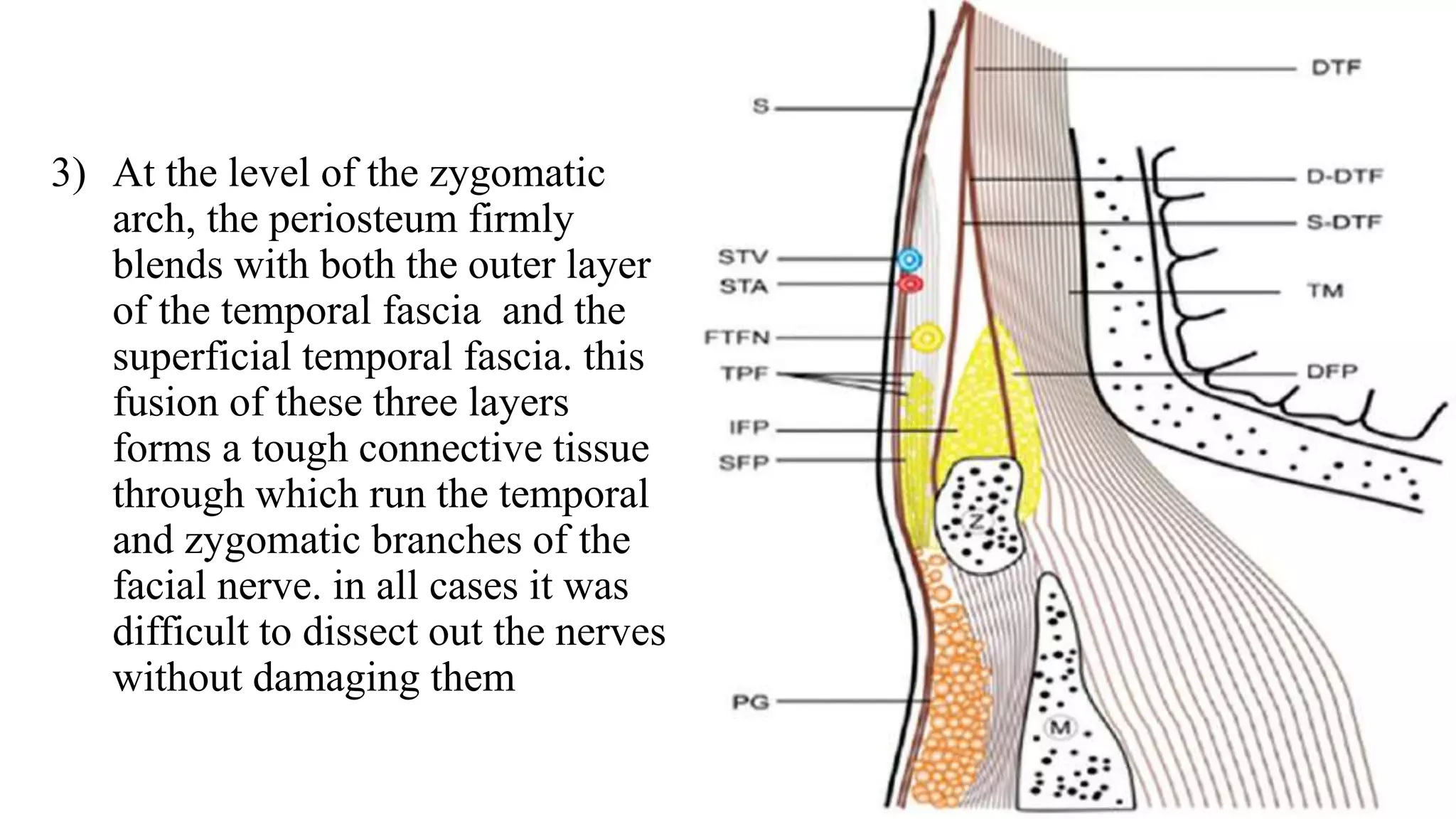 Facial nerve.pptx