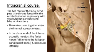 Facial nerve.pptx