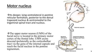 Facial nerve.pptx