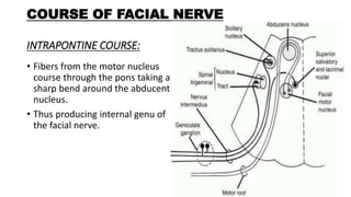 Facial nerve.pptx