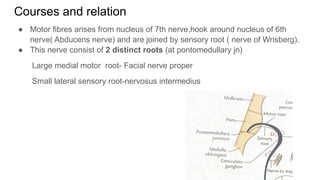 Facial nerve 2 anatomy pathology management | PPTX