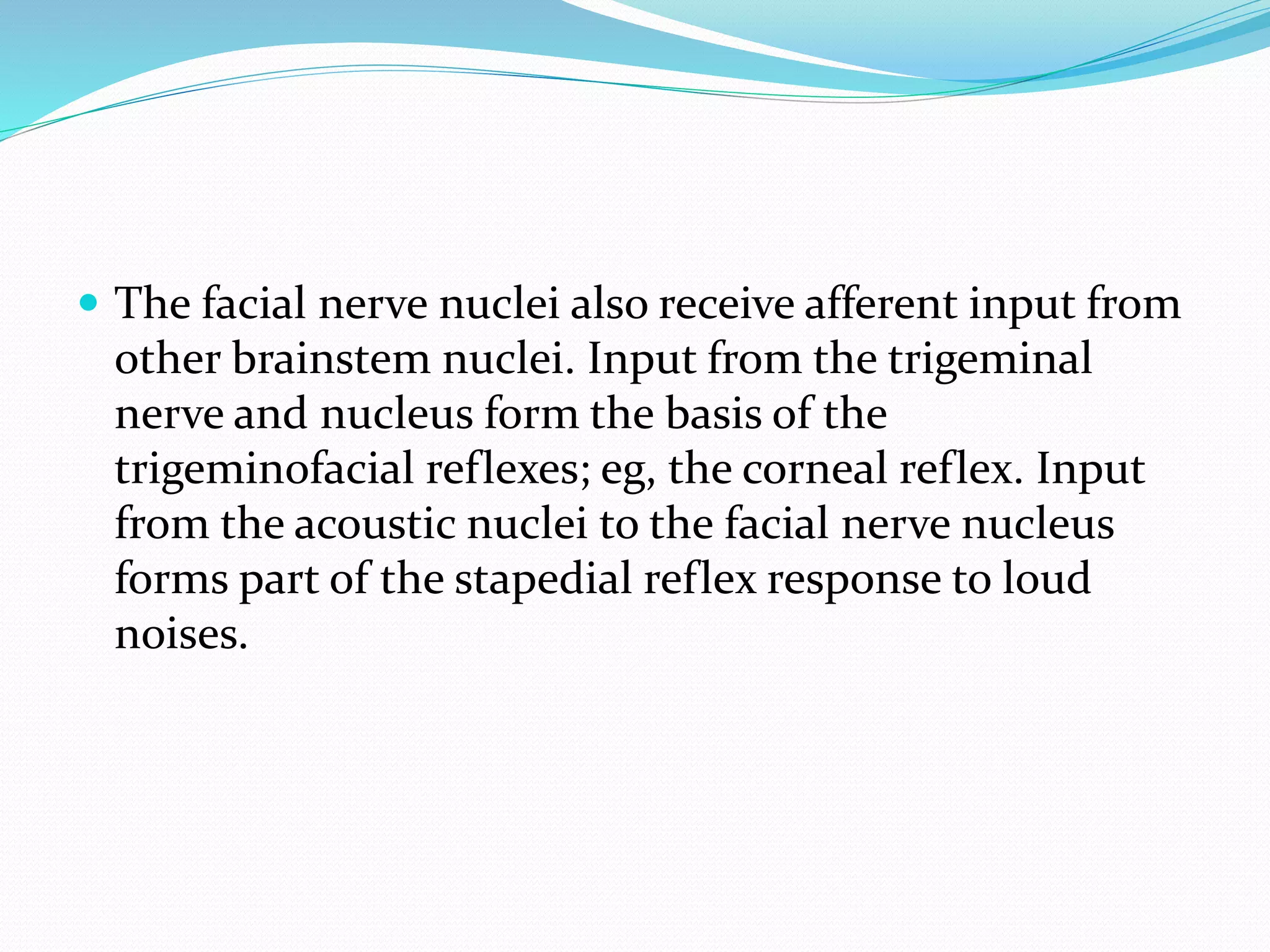 Facial nerve anatomy 1 | PPTX