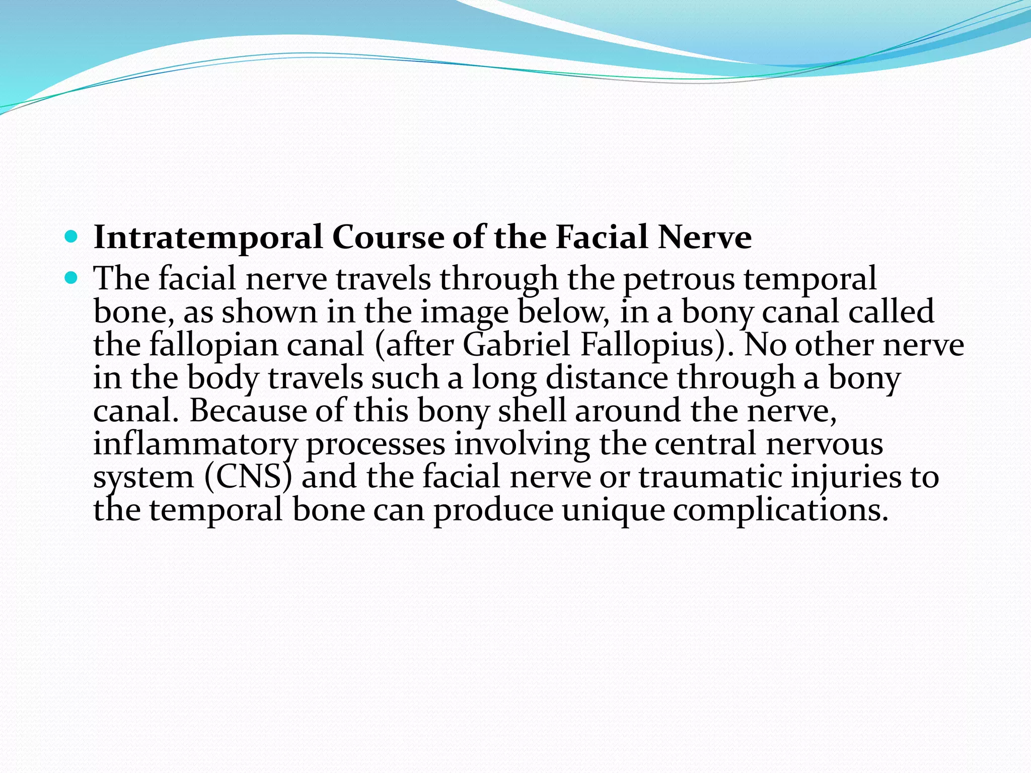 Facial nerve anatomy 1 | PPTX