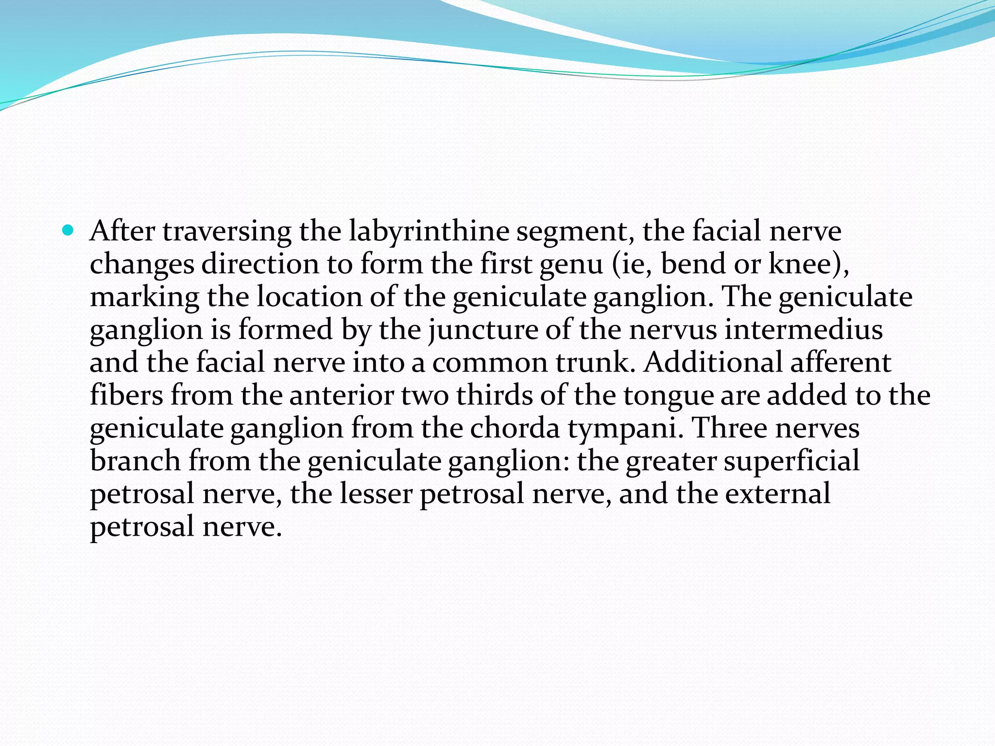 Facial nerve anatomy 1 | PPTX