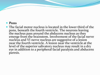 Facial nerve anatomy 1 | PPTX