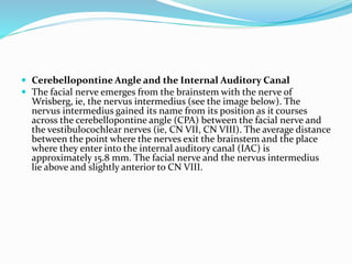 Facial nerve anatomy 1 | PPTX