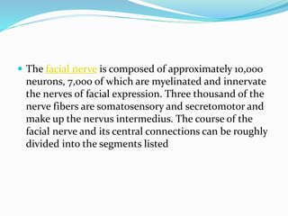 Facial nerve anatomy 1 | PPTX