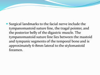 Facial nerve anatomy 1 | PPTX
