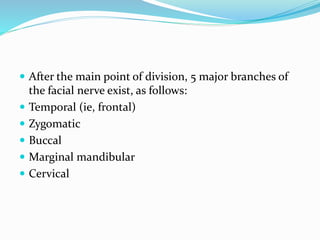 Facial nerve anatomy 1 | PPTX