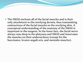 Facial nerve anatomy 1 | PPTX
