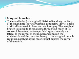 Facial nerve anatomy 1 | PPTX