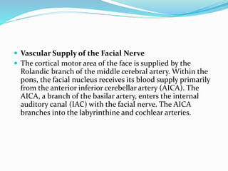 Facial nerve anatomy 1 | PPTX