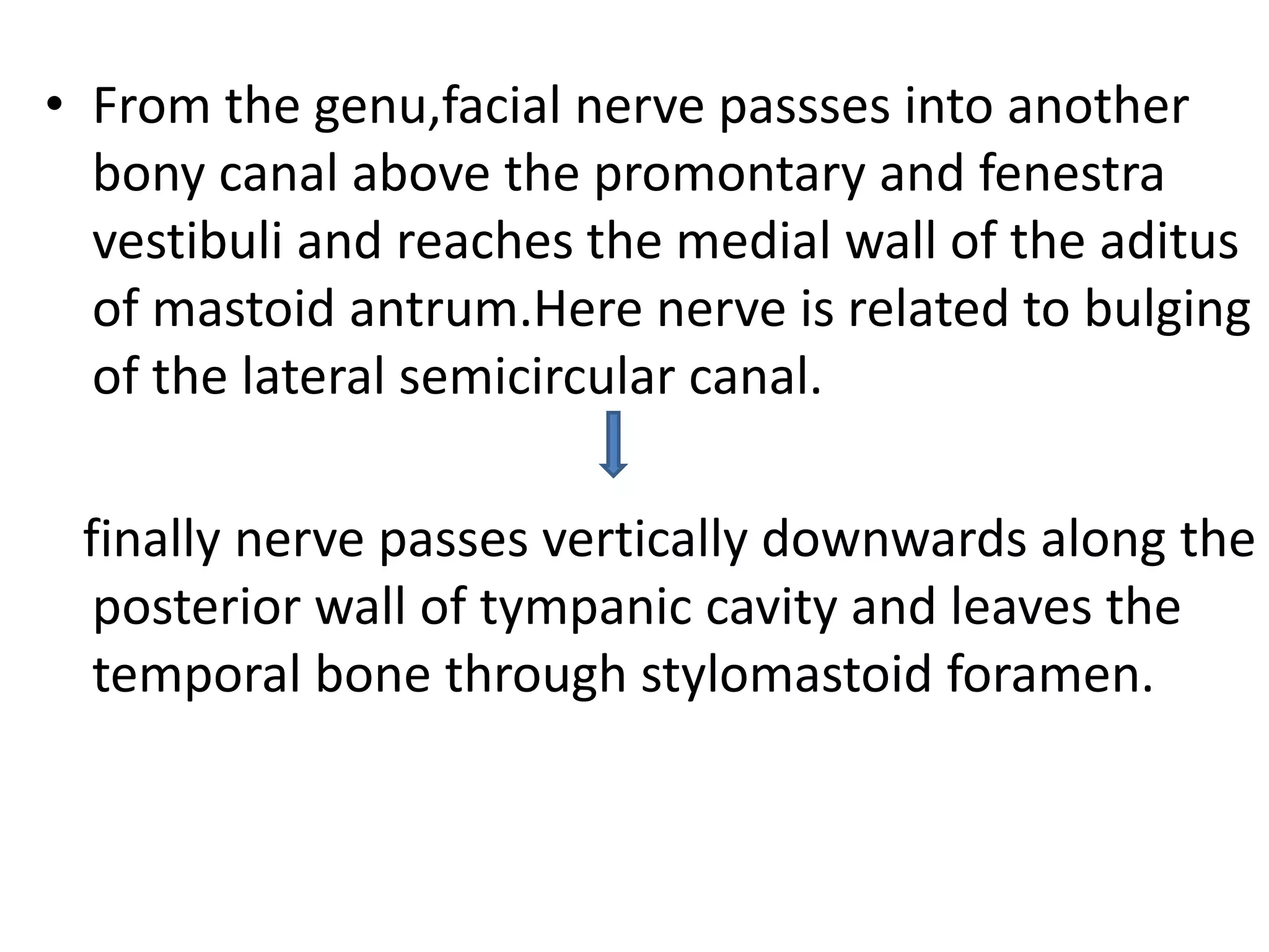 Facial nerve anatomy | PPTX