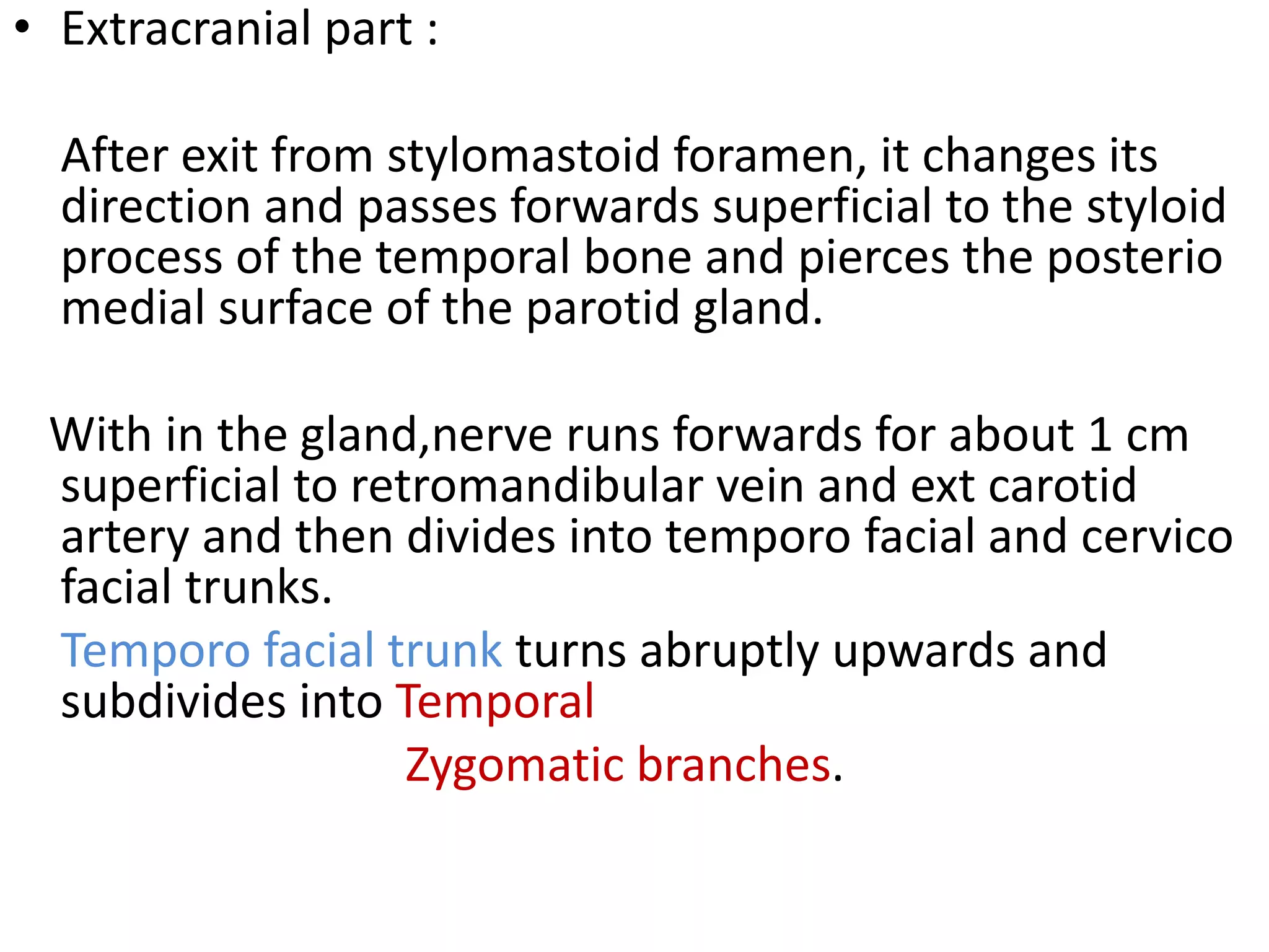 Facial nerve anatomy | PPTX