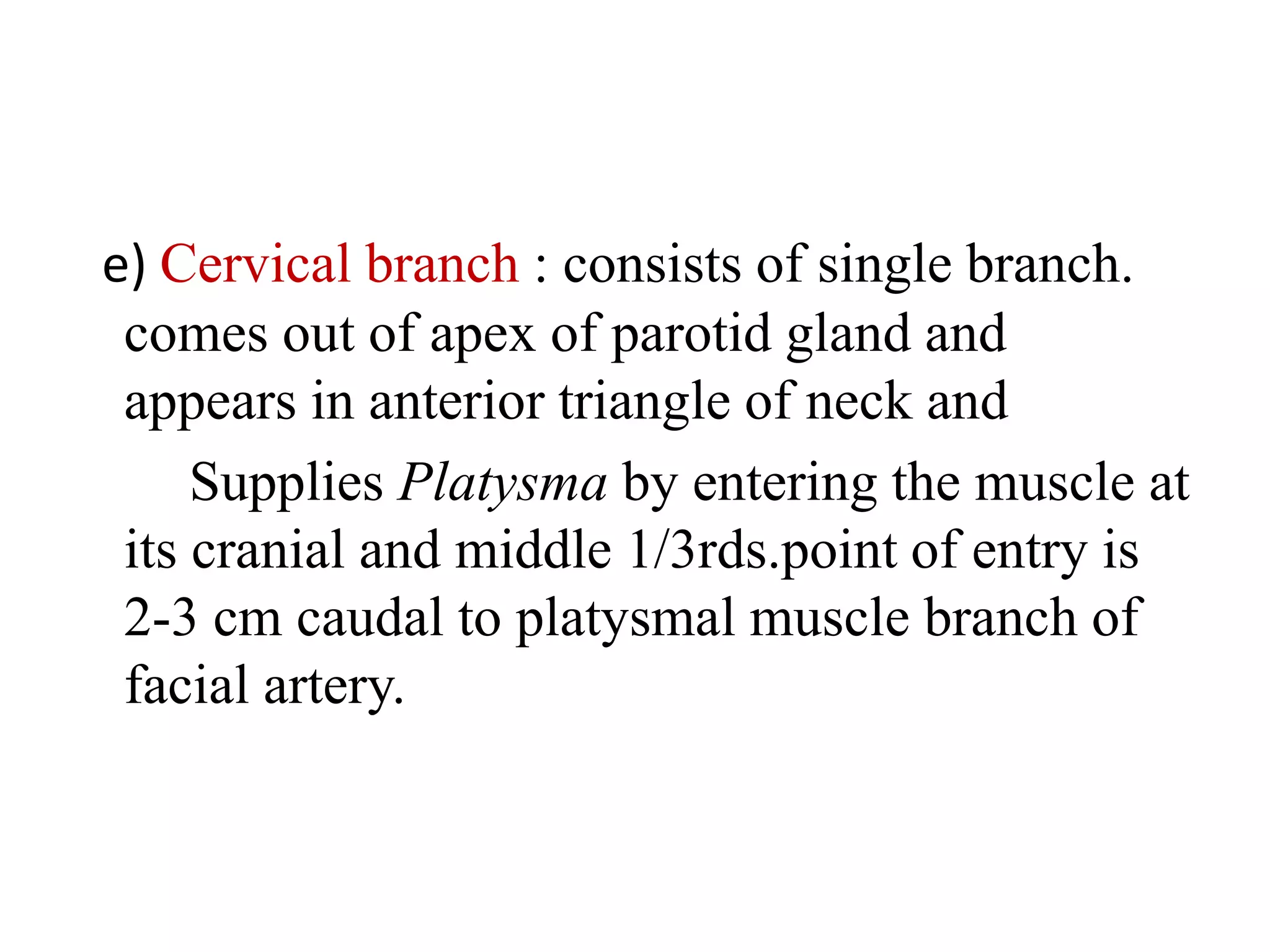 Facial nerve anatomy | PPTX