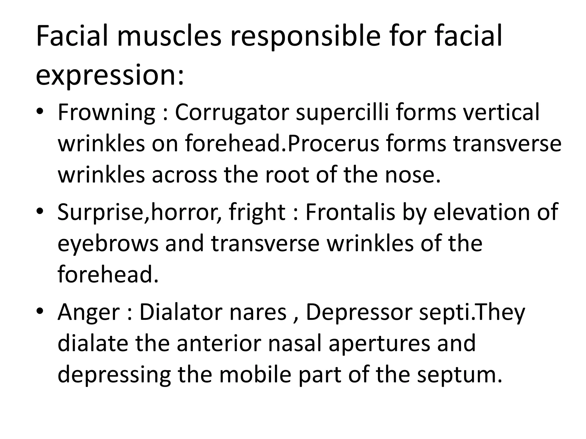 Facial nerve anatomy | PPTX
